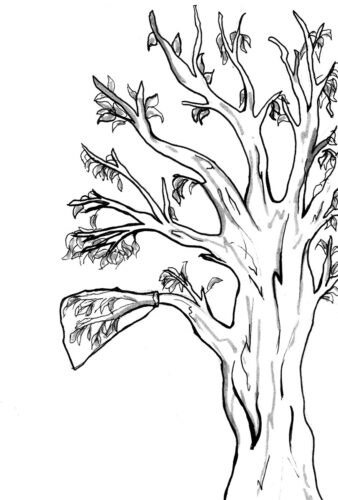 How to Find Water in the Wilderness - Grit